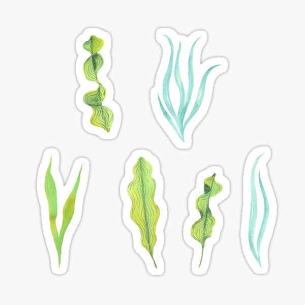 "corals sticker pack" Sticker for Sale by stickers-packs | Redbubble