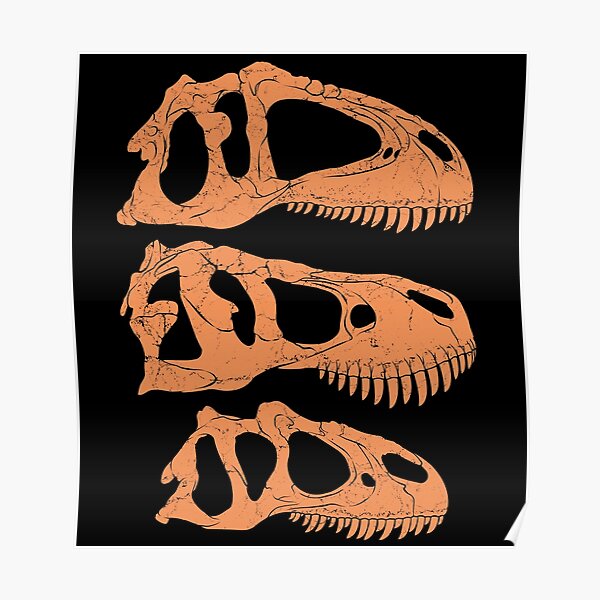 "Giganotosaurus Tyrannosaurus Rex Allosaurus Fossil" Poster for Sale by ...