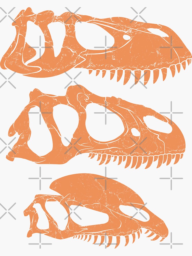 "Torvosaurus Allosaurus Dilophosaurus fossil" Sticker for Sale by ...