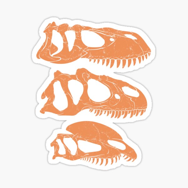 "Torvosaurus Allosaurus Dilophosaurus fossil" Sticker for Sale by ...