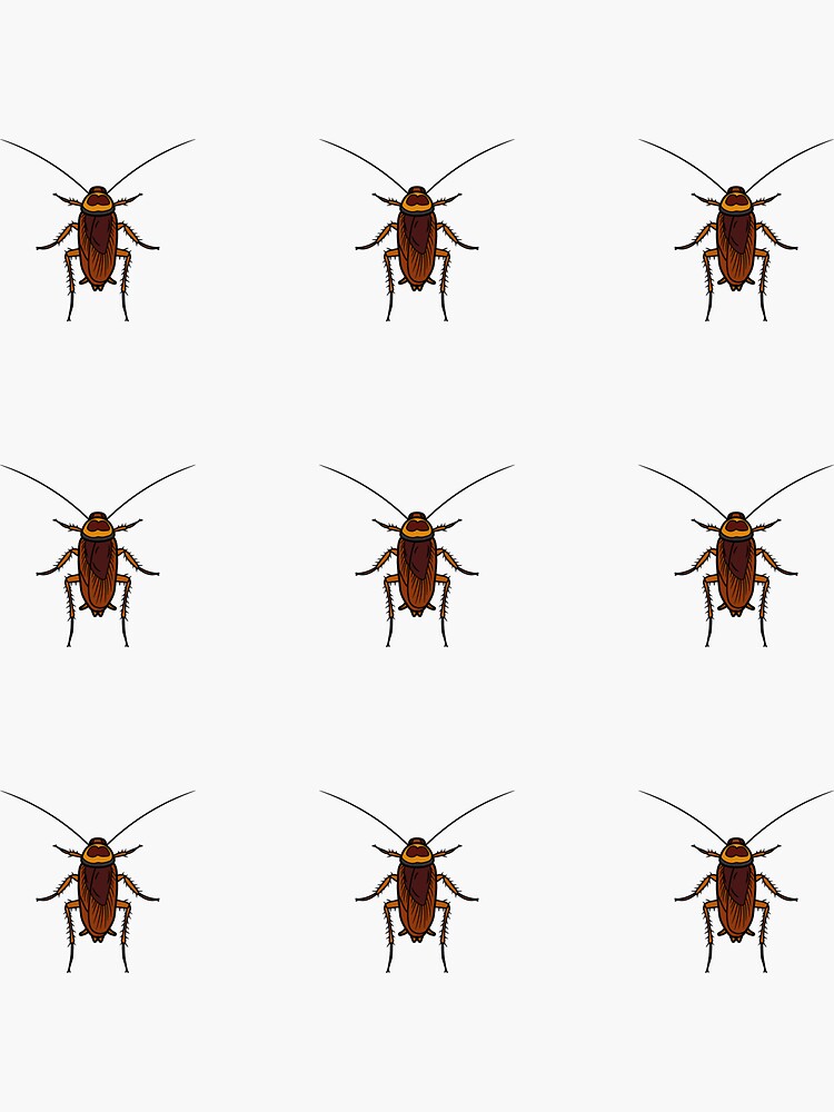"cockroach sticker pack" Sticker for Sale by stickers-packs | Redbubble