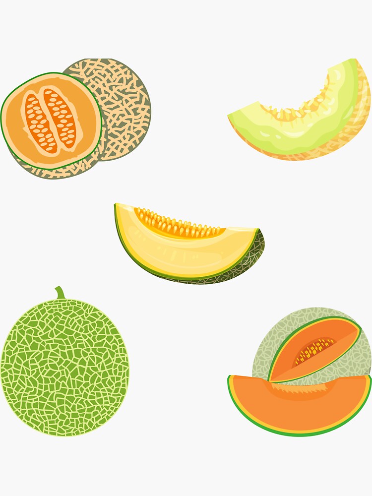 "melon sticker pack" Sticker for Sale by stickers-packs | Redbubble