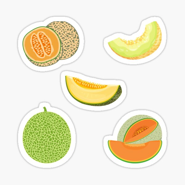 "melon sticker pack" Sticker for Sale by stickers-packs | Redbubble