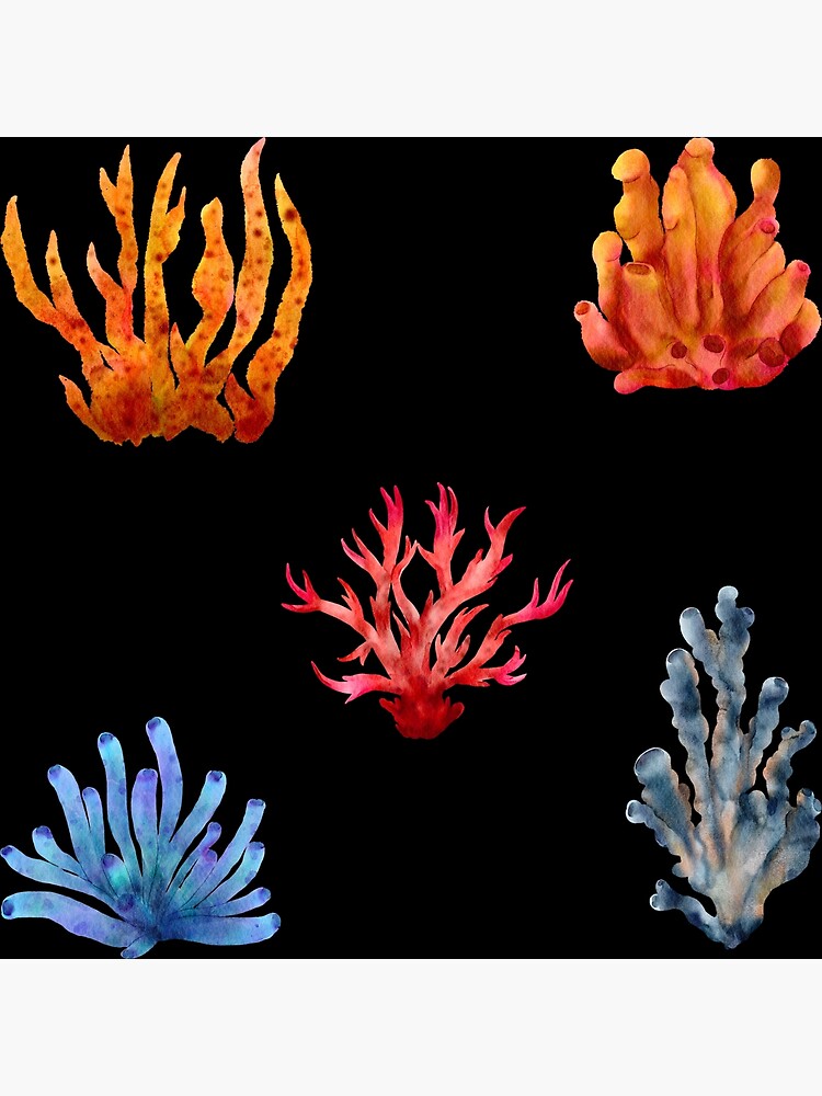 "corals sticker pack" Poster for Sale by stickers-packs | Redbubble