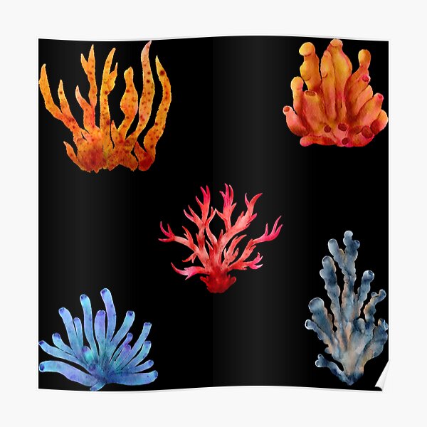 "corals sticker pack" Poster for Sale by stickers-packs | Redbubble