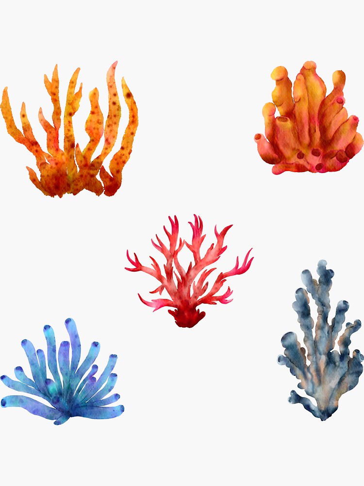 "corals sticker pack" Sticker for Sale by stickers-packs | Redbubble