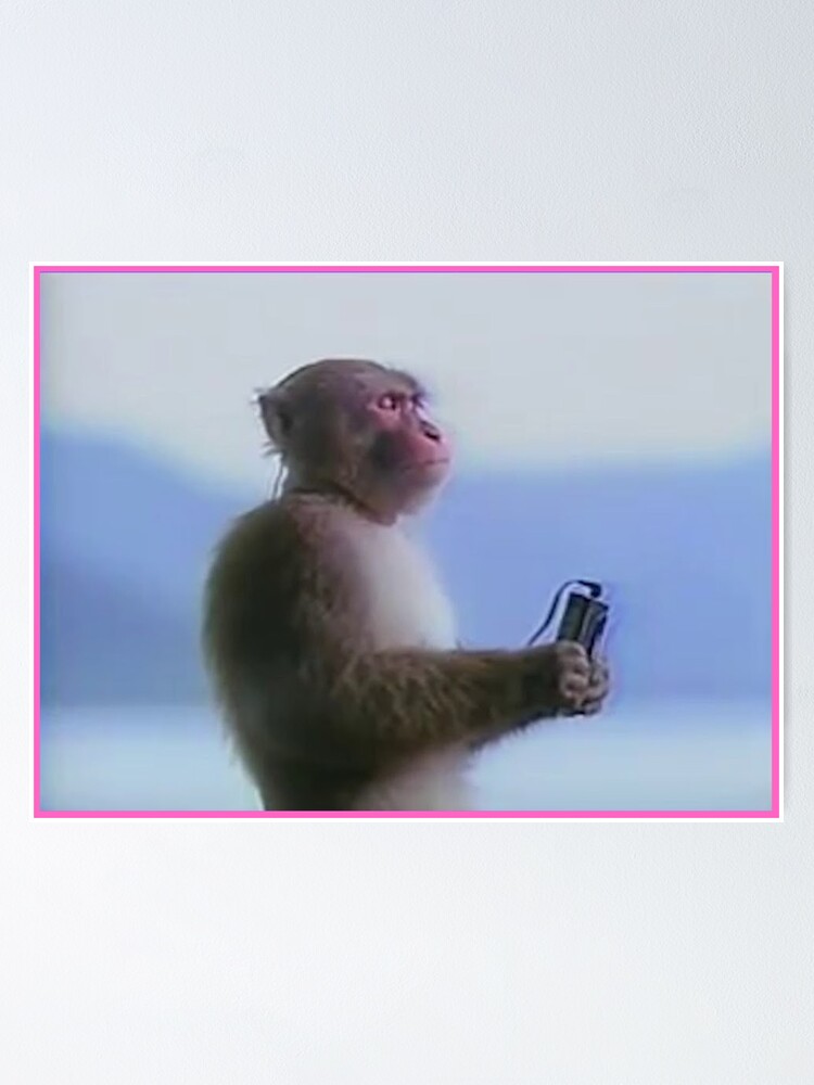 "Walkman Aesthetic Monkey" Poster for Sale by kubi32167 | Redbubble