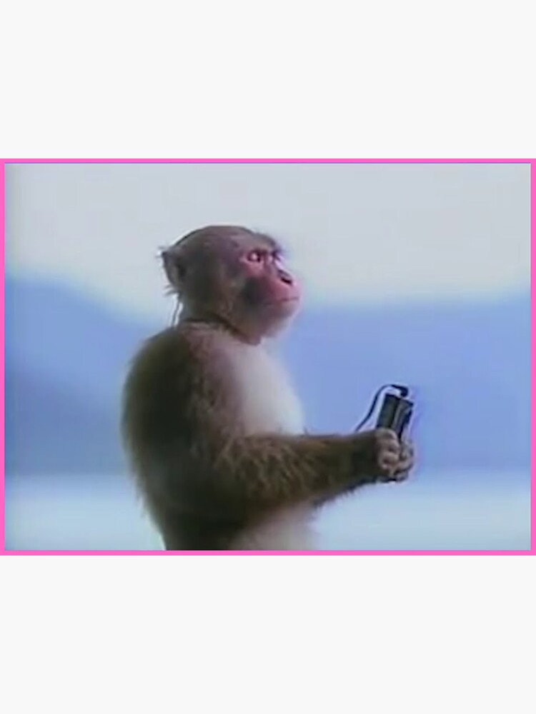 "Walkman Aesthetic Monkey" Sticker for Sale by kubi32167 | Redbubble