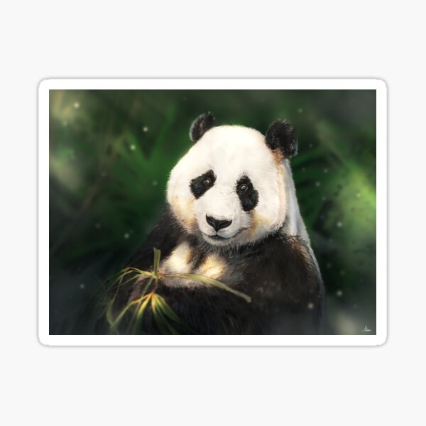 "Panda" Sticker for Sale by alandodrawing | Redbubble
