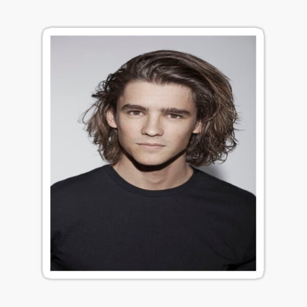 "Brenton Thwaites Aesthetic" Sticker for Sale by nicaReneeHardin ...