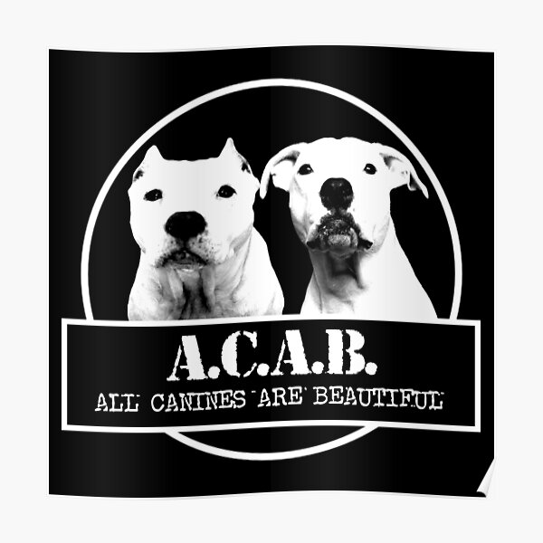 Acab Posters | Redbubble