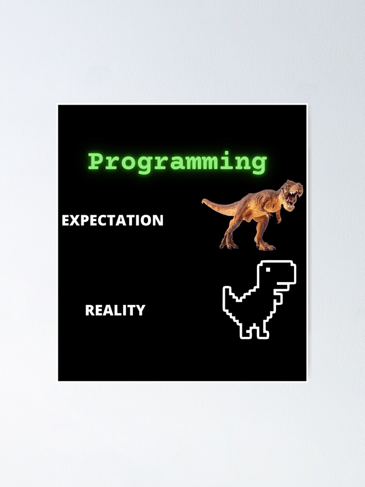 Expectation Vs Reality Programming Poster For Sale By Artisprints Redbubble 7210