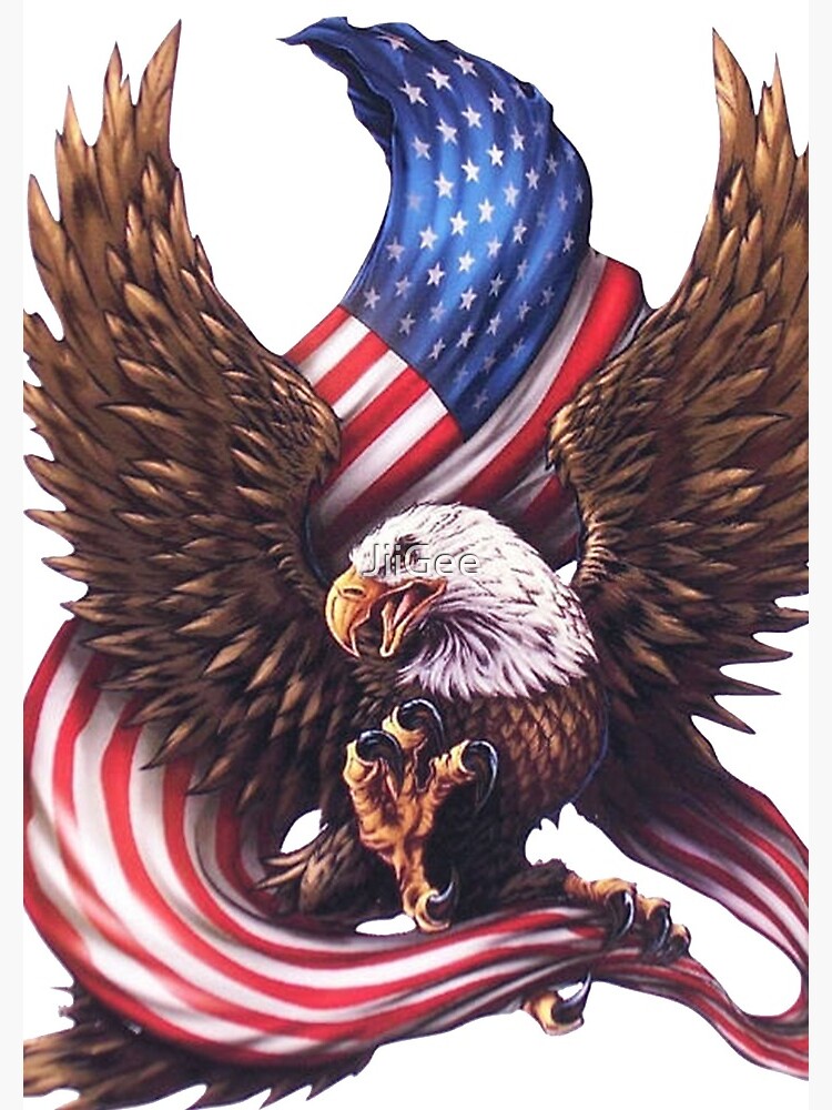 "USA Flag Bald Eagle American Flag" Journal for Sale by JiiGee | Redbubble