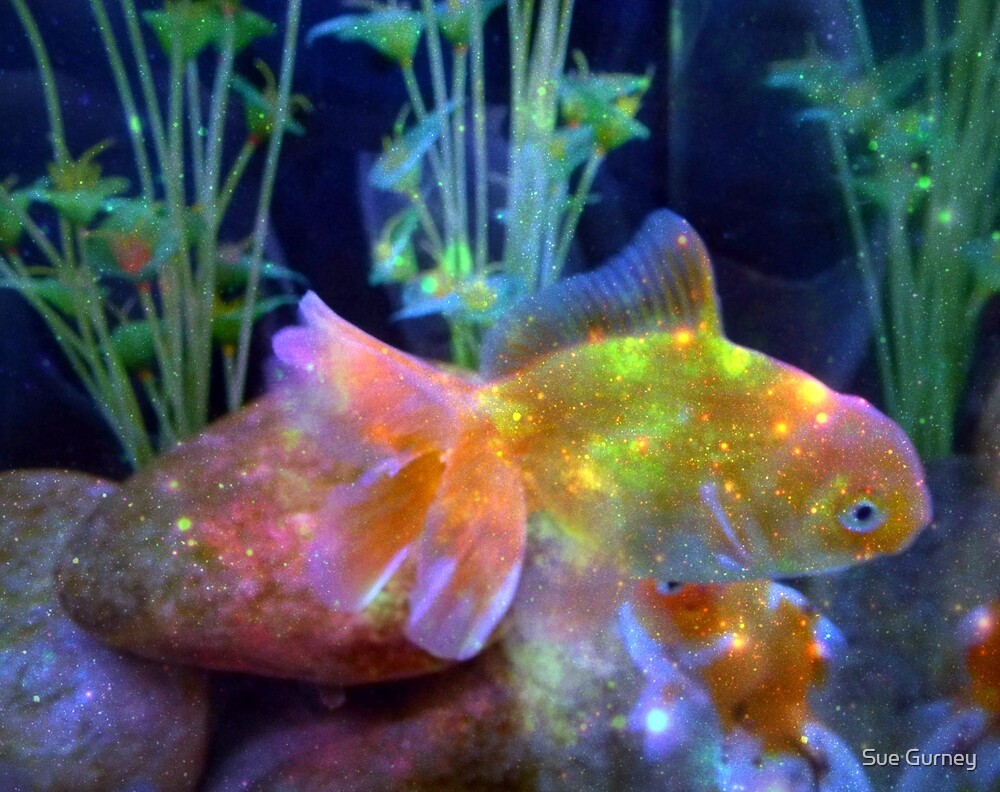 "Sparkly Fish" by Sue Gurney | Redbubble