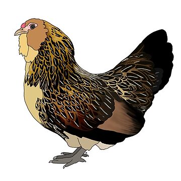 "Quail Belgian Bearded d'Anver Hen" Sticker for Sale by bakerchkenranch ...