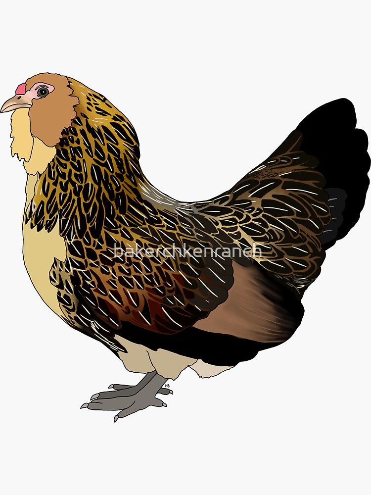 "Quail Belgian Bearded d'Anver Hen" Sticker for Sale by bakerchkenranch ...