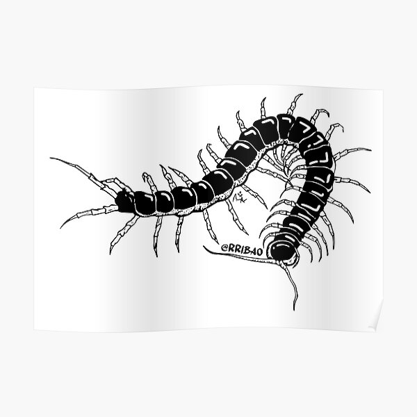 "Centipede " Poster for Sale by RobertR-Designs | Redbubble