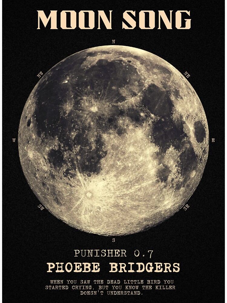 "Moon Song - Phoebe Bridgers" Sticker for Sale by asbahm | Redbubble