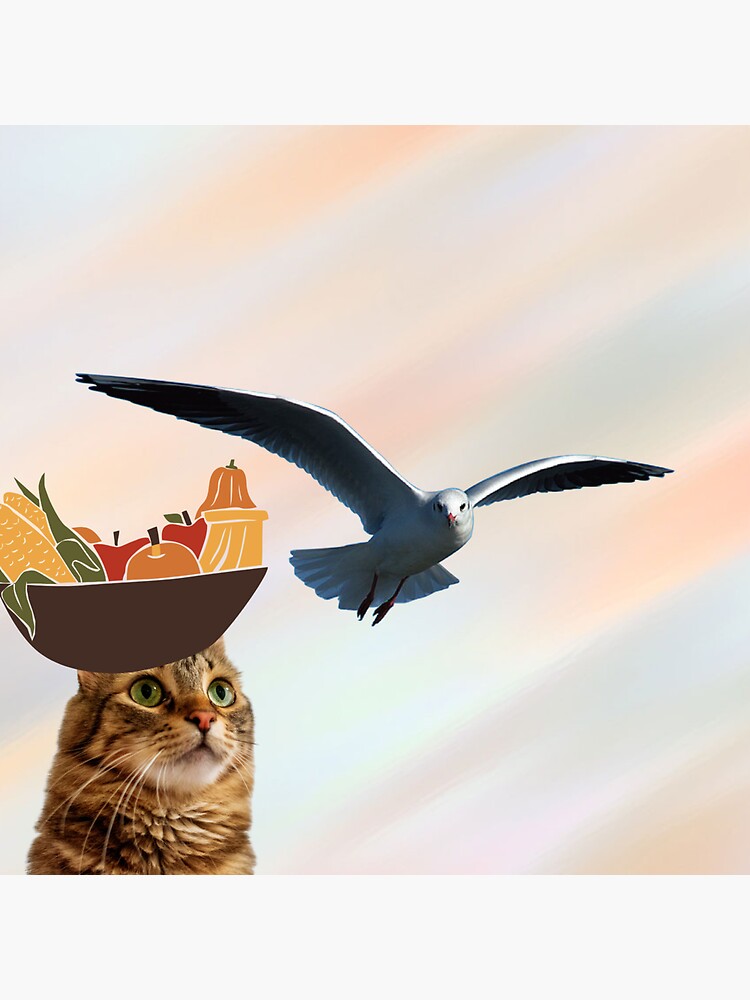 "cat watching bird" Sticker for Sale by greetinggoods | Redbubble