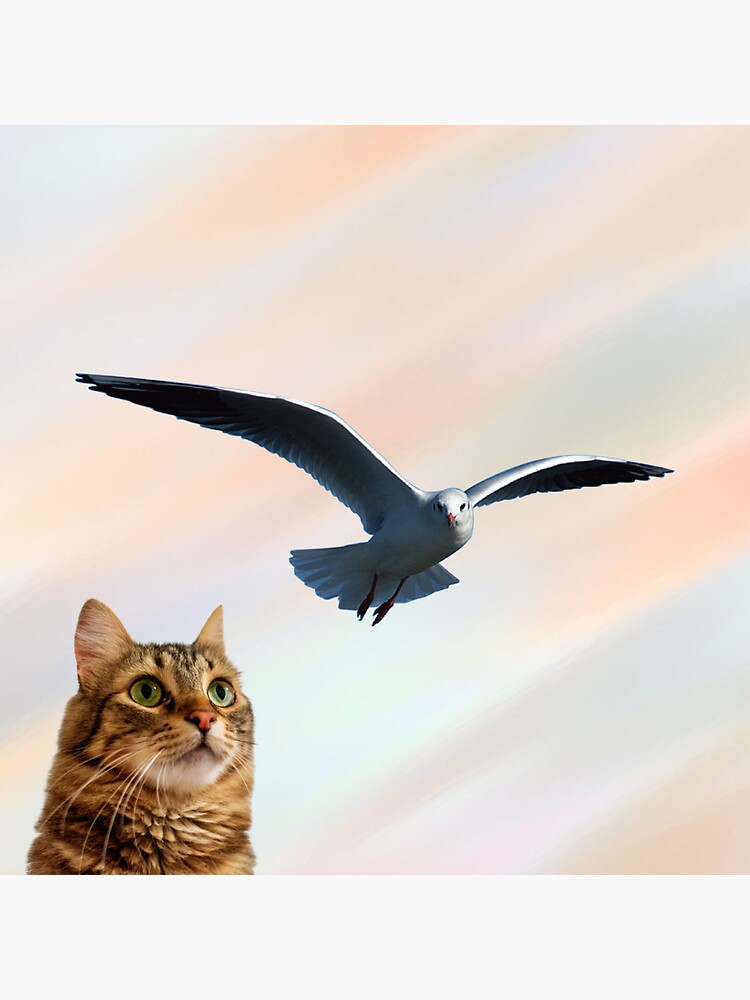 "cat watching bird" Sticker for Sale by greetinggoods | Redbubble