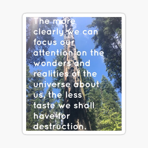 "Rachel Carson quote" Sticker for Sale by Erin Knapp | Redbubble