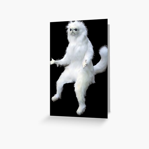 "Persian Cat Room Guardian Meme" Greeting Card for Sale by DannyAsaro ...