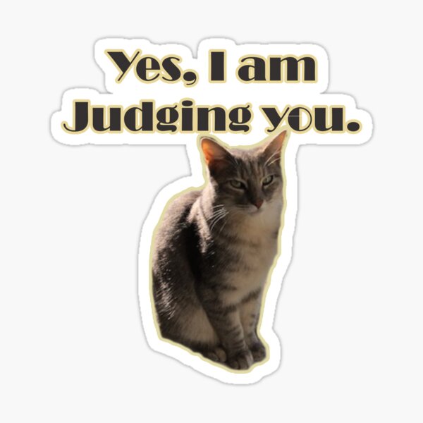 "Yes, I am judging you." Sticker for Sale by JoyOfHopeStore | Redbubble