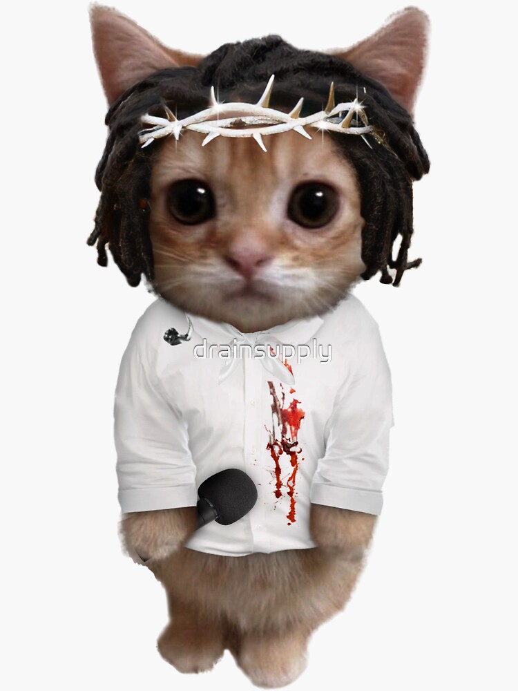 "Kendrick Lameow Kitty" Sticker for Sale by drainsupply | Redbubble