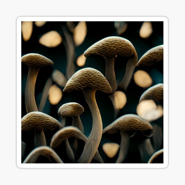 "More than meets the Shroom" Sticker for Sale by Foodcolored | Redbubble