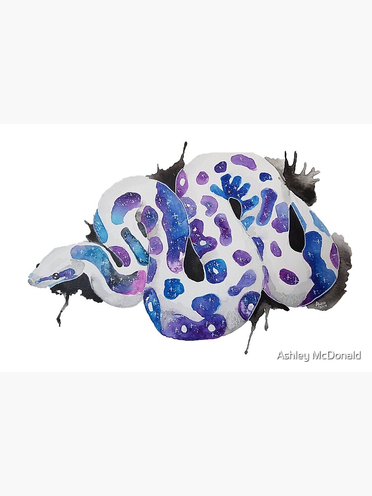"Galaxy Ball Python " Art Print for Sale by ashleymcd | Redbubble