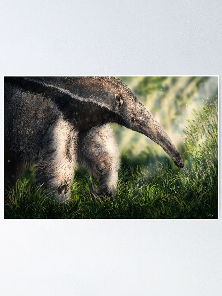 "Giant Anteater" Poster for Sale by alandodrawing | Redbubble
