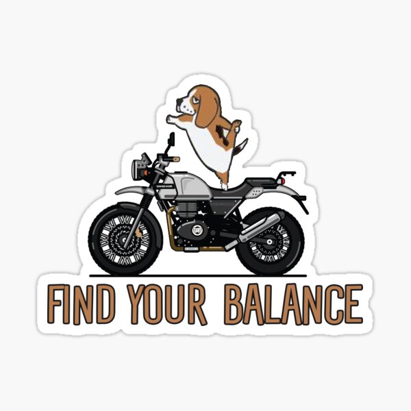 " Find Your Balance ( beagle on one leg and stretching one leg ...