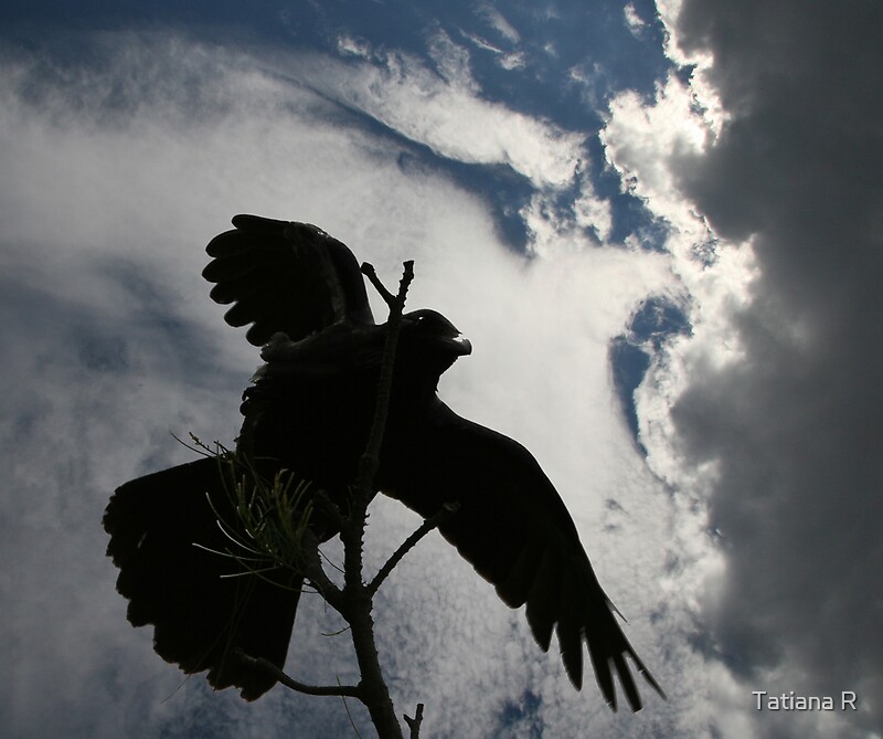 "Raven's shadow" by Tatiana R | Redbubble