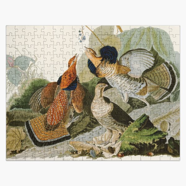 Ruffed Grouse Jigsaw Puzzles for Sale | Redbubble