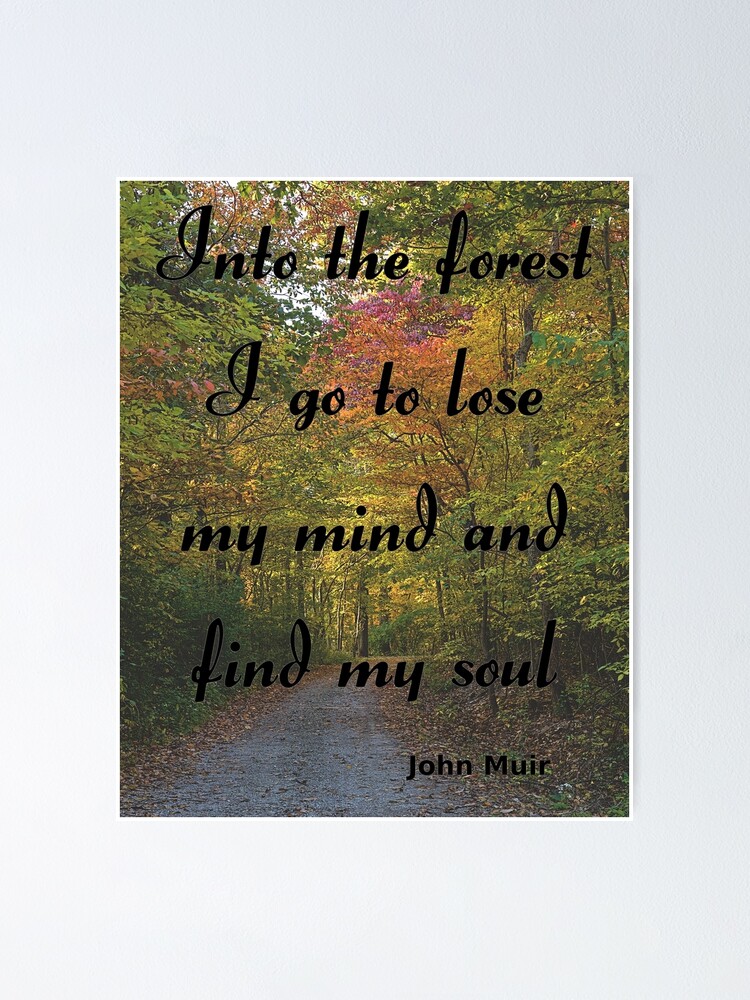 "John Muir Quote" Poster for Sale by bchambers1 | Redbubble