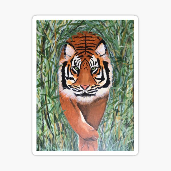 "My tiger in Sumatra" Sticker for Sale by Emy-ly-art | Redbubble