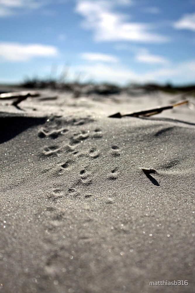 "Beach Sand Prints" by matthiasb316 | Redbubble