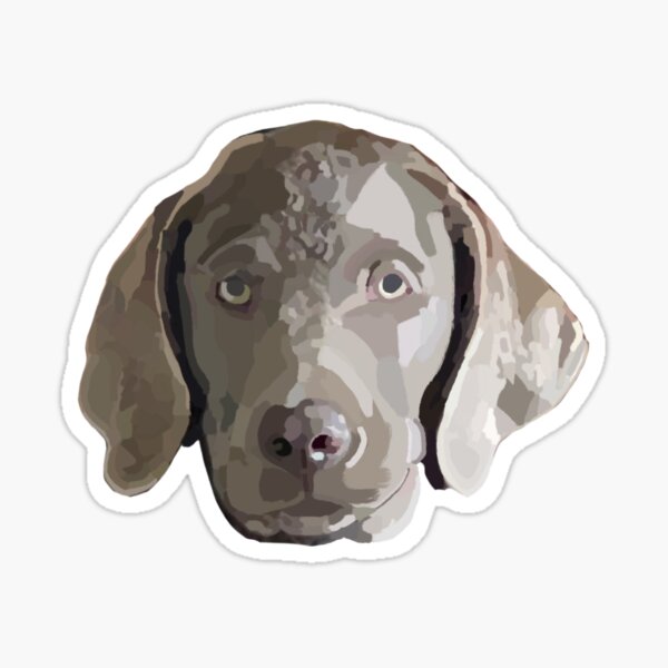 "Cute Labrador" Sticker for Sale by FriendlySeaCow | Redbubble