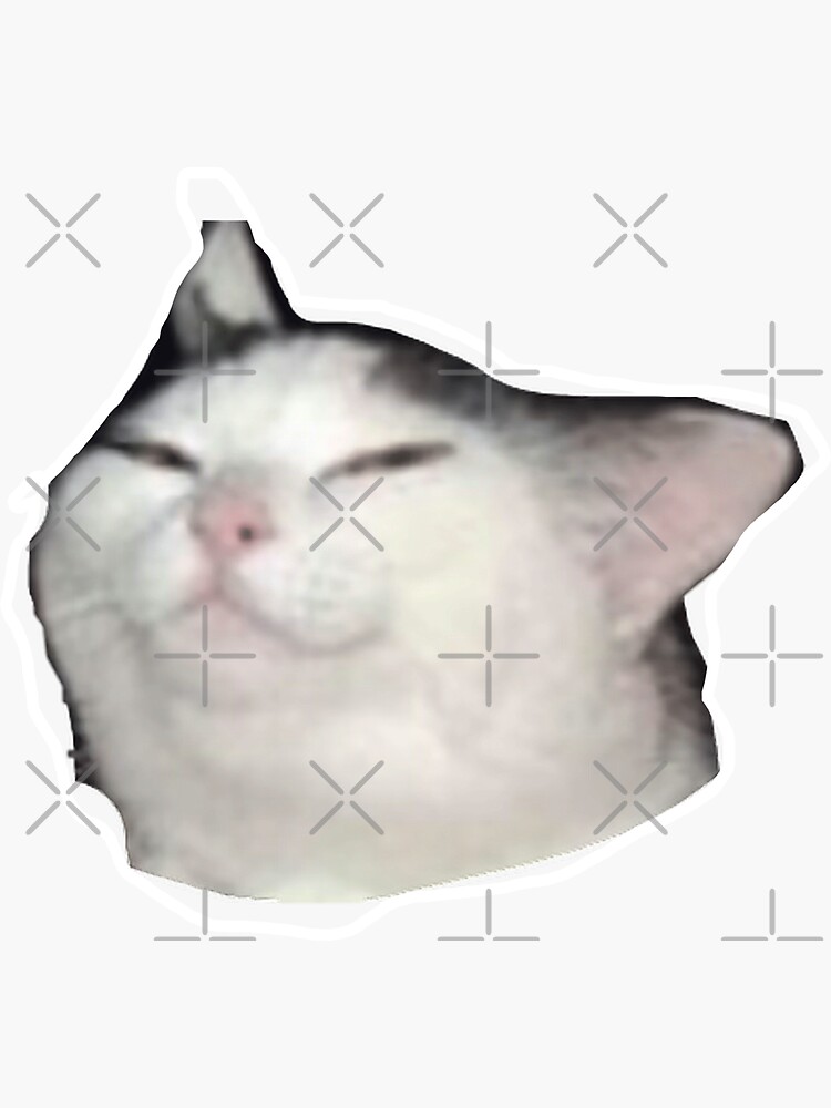 Pegatina « Paquete de memes de gato llorando - Gráfico - Auto, pared ...