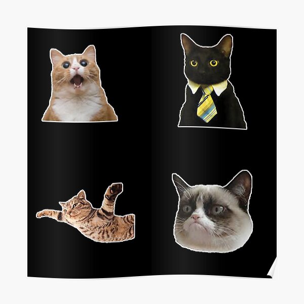 "Cat meme pack" Poster for Sale by Dariusky | Redbubble