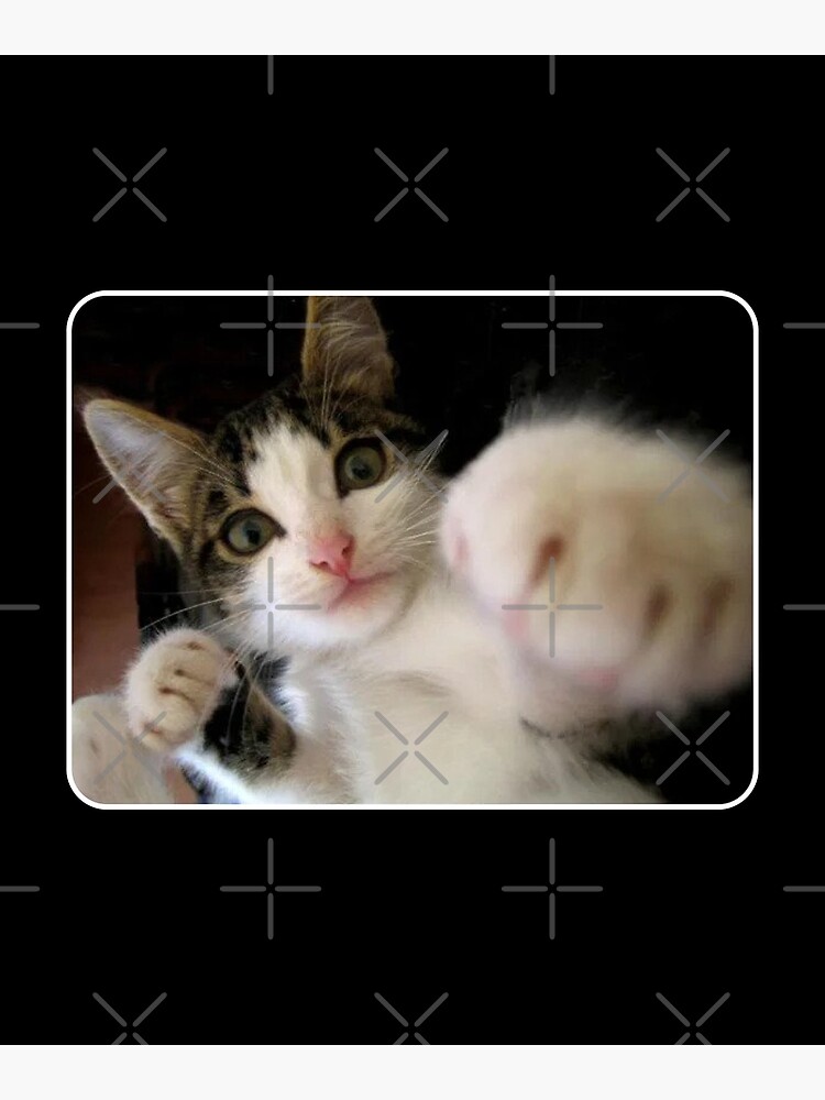 "Cat punch meme" Poster for Sale by NabilsDesign | Redbubble
