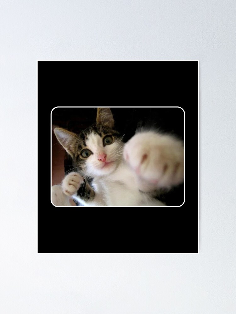 "Cat punch meme" Poster for Sale by NabilsDesign | Redbubble