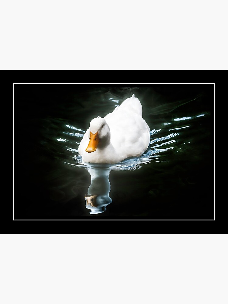 "Bow Wave" Sticker for Sale by butterbean57 | Redbubble