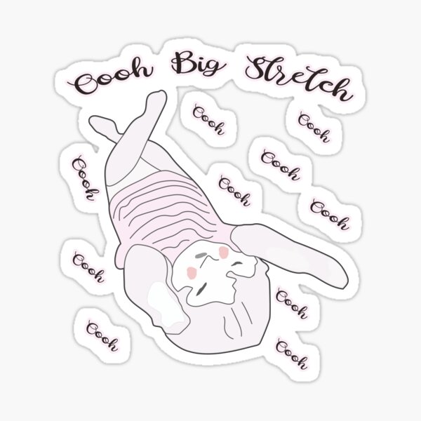 " Cute CAT And The Big Stretch" Sticker for Sale by fatydesignspace ...