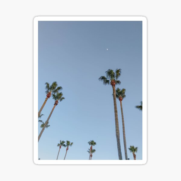 "palm trees cix / california" Sticker for Sale by mauikauai | Redbubble