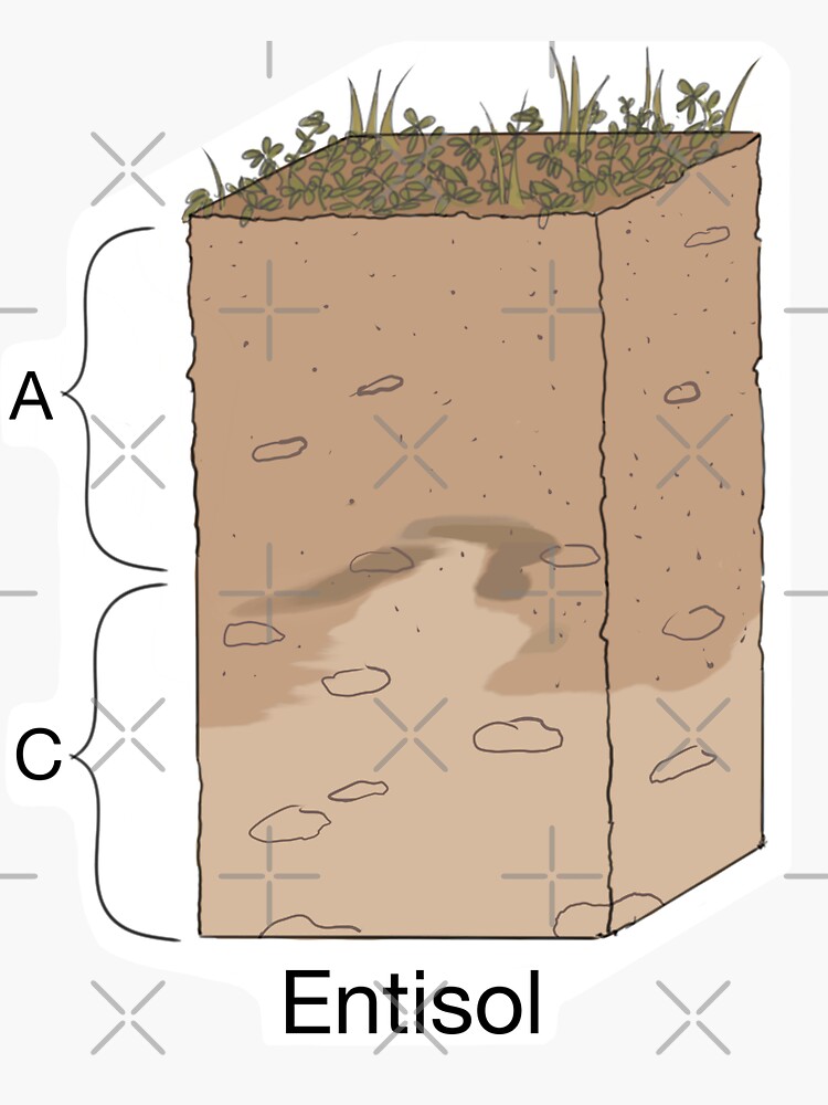 "Entisol Soil Horizon" Sticker for Sale by TA-Nelson | Redbubble