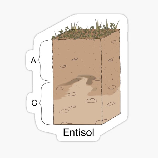 "Entisol Soil Horizon" Sticker for Sale by TA-Nelson | Redbubble