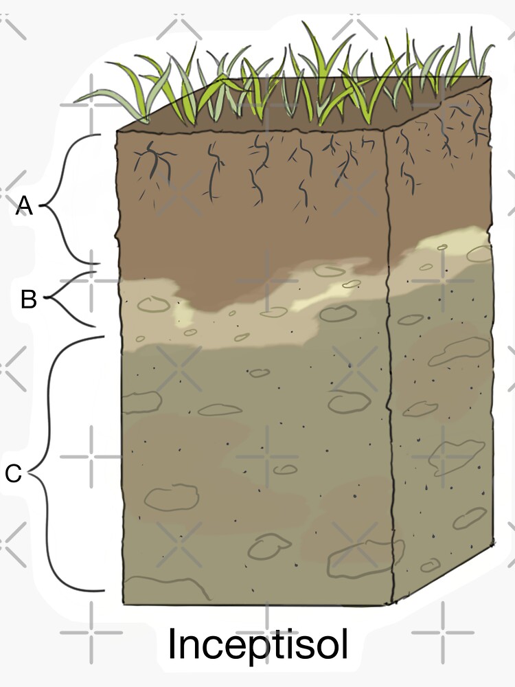 "Inceptisol Soil Horizon" Sticker for Sale by TA-Nelson | Redbubble