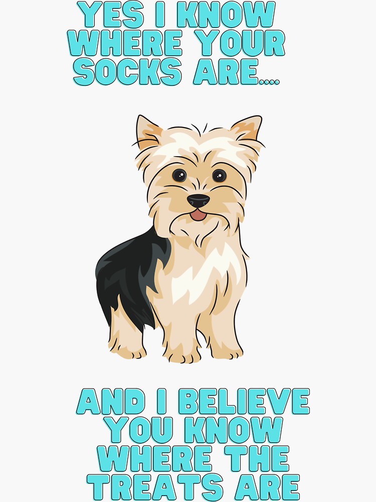 "Yorkshire Terrier Meme" Sticker for Sale by AmbersAnimals | Redbubble