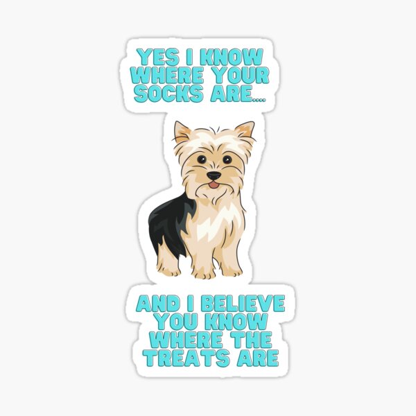 "Yorkshire Terrier Meme" Sticker for Sale by AmbersAnimals | Redbubble